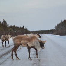 Route de Chisasibi | Fastest Known Time