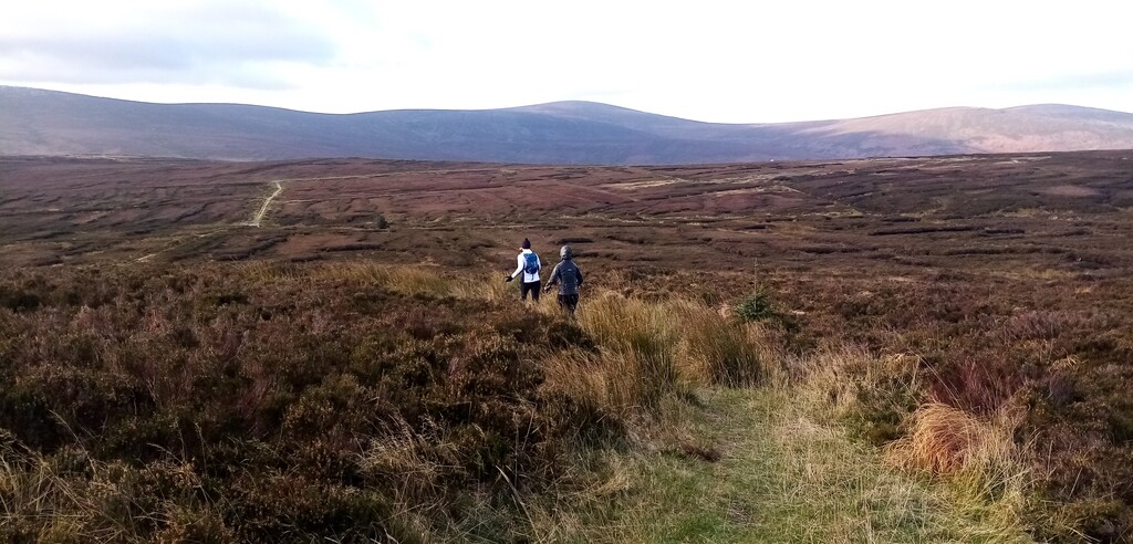 Dublin 7 Summits (Seahan to Kilmashogue) | Fastest Known Time