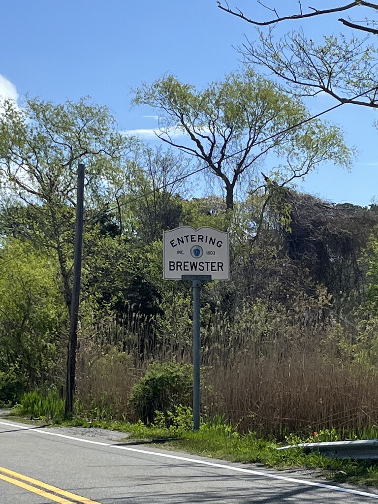 Rachel Bambrick - Cape Cod Traverse (MA) - 2022-05-14 | Fastest Known Time