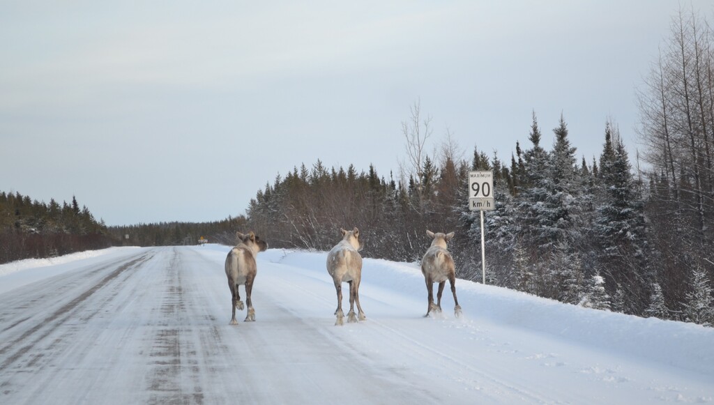Route de Chisasibi | Fastest Known Time