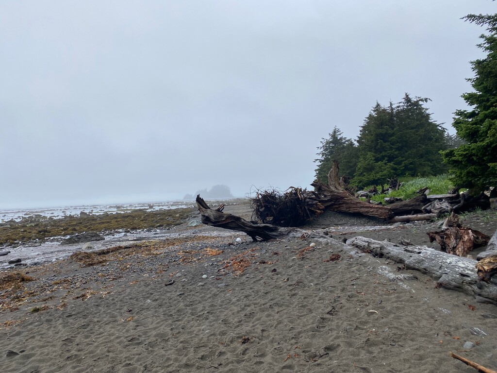 Ozette Triangle Trail | Fastest Known Time