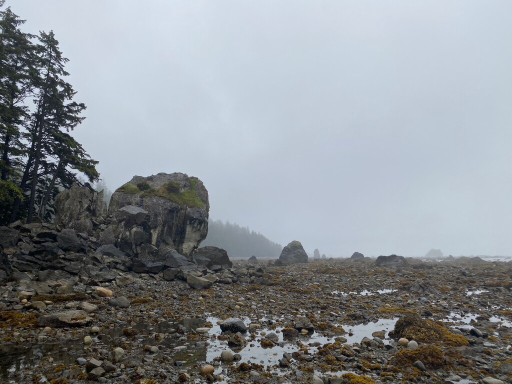 Ozette Triangle Trail | Fastest Known Time