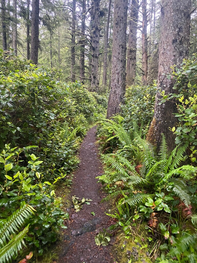 Ozette Triangle Trail | Fastest Known Time